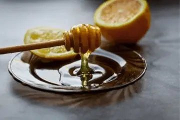 5 Must-Try Flavors of Honey You Should Not Miss – Zenbear Honey Tea